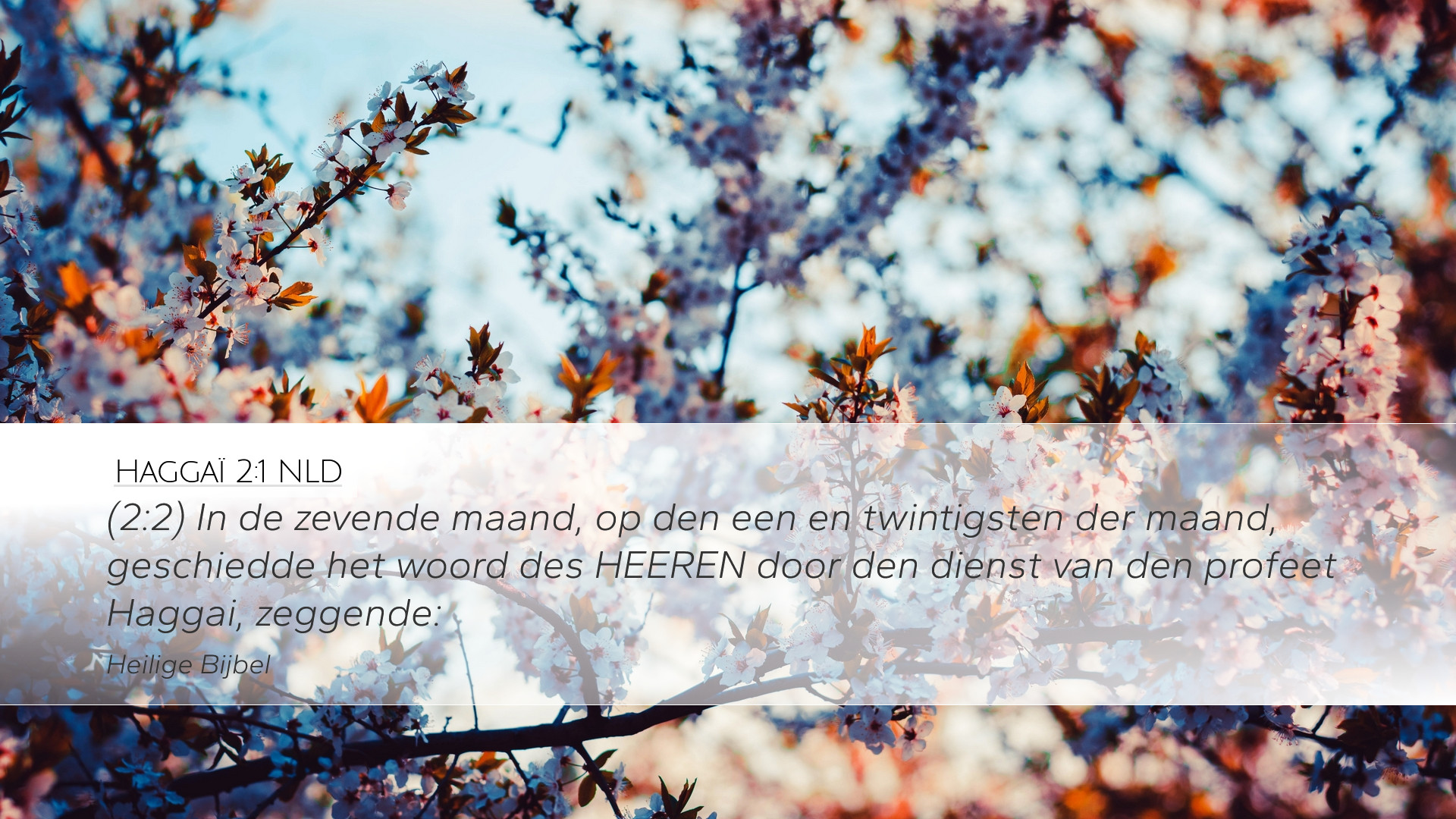 Haggaï 2:1 NLD Desktop Wallpaper - (2:2) In de zevende maand, op den een en