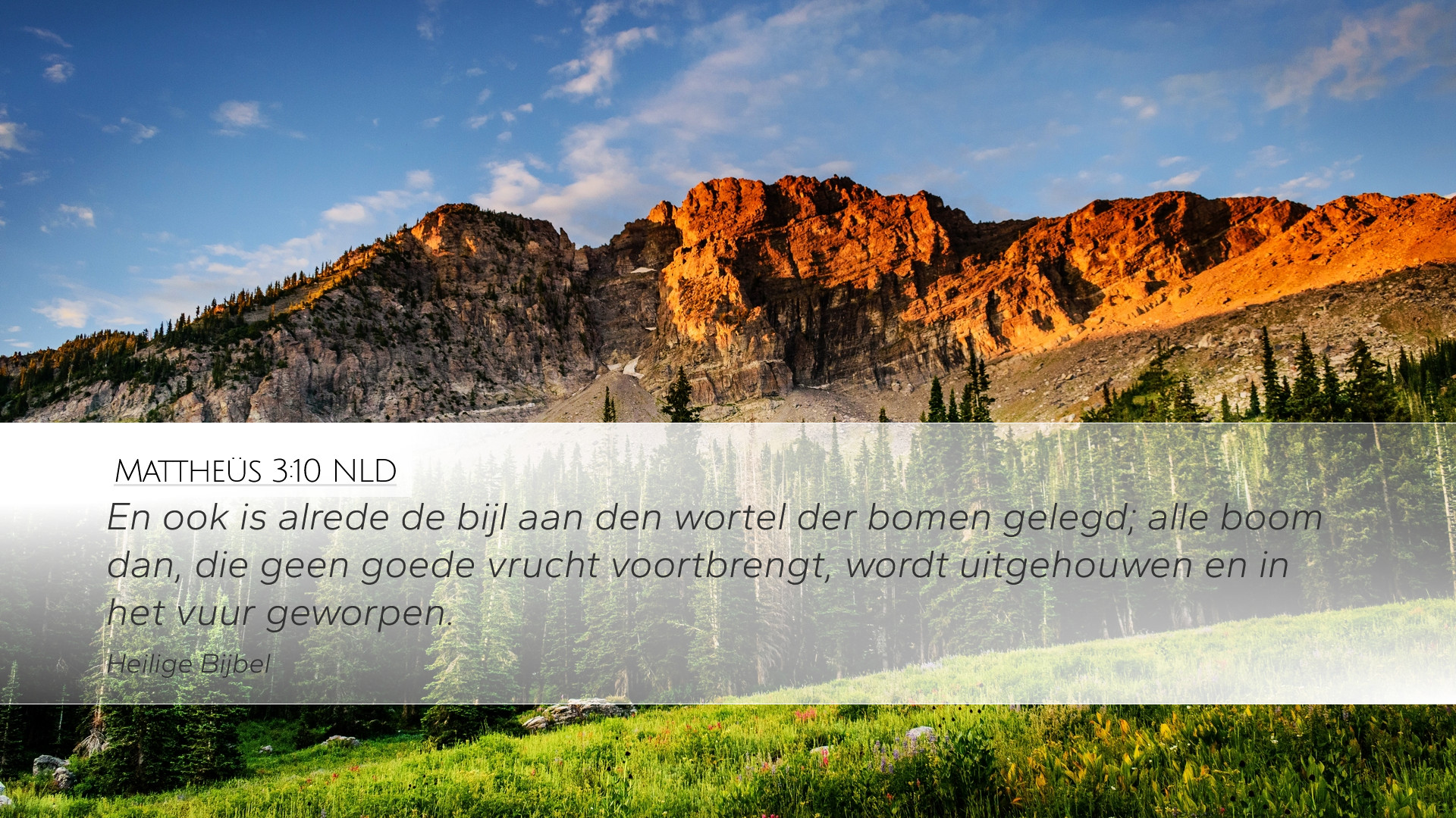 Mattheüs 3:10 NLD Desktop Wallpaper - En ook is alrede de bijl aan den ...
